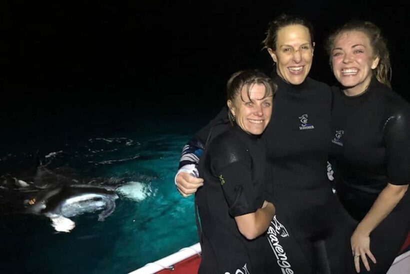 Kona Manta Ray Night Snorkel (Manta Guarantee Policy) - The Experience in Detail