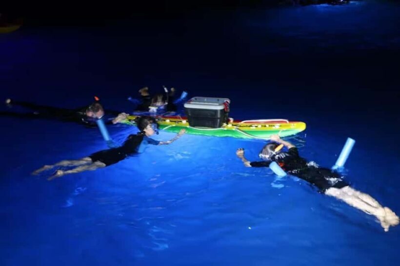 Kona Manta Ray Night Snorkel (Manta Guarantee Policy) - Practicalities and Value