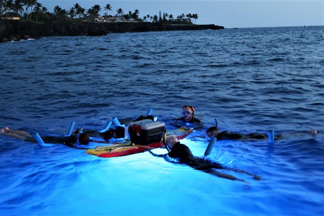 Kona Manta Rays Guaranteed Night Snorkel in Keauhou Harbor - Value and Pricing