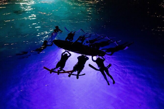 Kona Night Manta Snorkel Tour - An Introduction to the Kona Night Manta Snorkel Tour