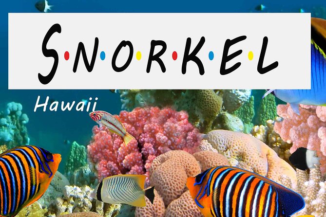 Kona Shore Excursion: Wild Dolphin Reefs Snorkel and Sea Caves - What’s Included and Why It Matters