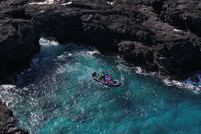 Kona Snorkeling: Beat the Crowd to Kealakekua Bay - The Itinerary: What to Expect on Your Day