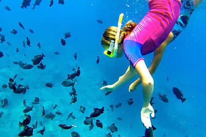 Kona Snorkeling Gear Rental Dive Into Adventure - Who Should Consider This Experience?