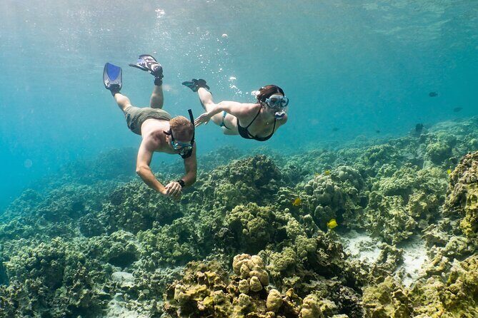 Kona Snorkeling Gear Rental Dive Into Adventure - The Sum Up
