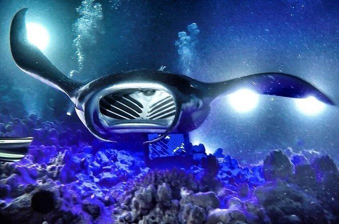 Kona Town Manta Sunset Snorkel - The Experience in Detail: What You Can Expect