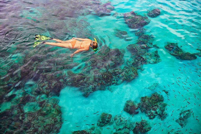 Kona Wild Dolphin, Sea Cave & Captain Cook Reef Snorkel Adventure - Who Should Book This Tour?
