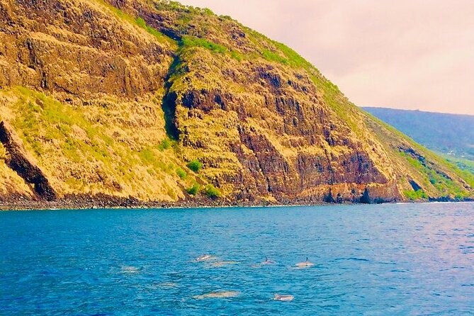 Kona Wild Dolphin, Sea Cave & Captain Cook Reef Snorkel Adventure - FAQ