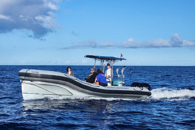 Kona's Deluxe Snorkel - Snorkel Captain Cook and Place of Refuge - The Sum Up