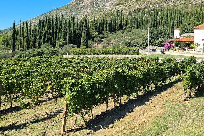 Konavle Gastro & Culture Tour (Small Group) - Indulging in the Peka Lunch Experience