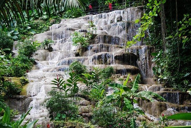 Konoko Falls and Garden Tour from Falmouth - Key Points
