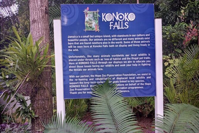Konoko Falls and Park Private Tour with Hotel Pickup - Why This Tour Represents Good Value