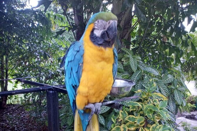 Konoko Falls and Park Private Tour with Hotel Pickup - The Sum Up