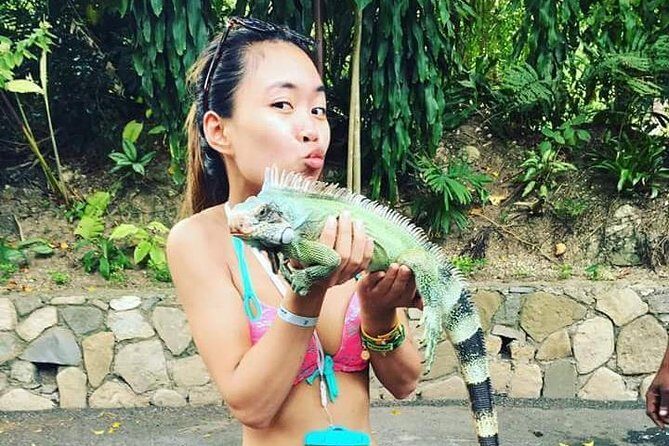 Konoko Falls and Tropical Garden Tour from Ocho Rios - A Closer Look at the Tour Experience