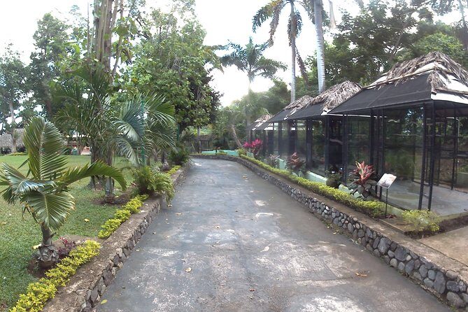 konoko waterfall and zoo - What to Expect from the Konoko Waterfalls and Zoo Tour