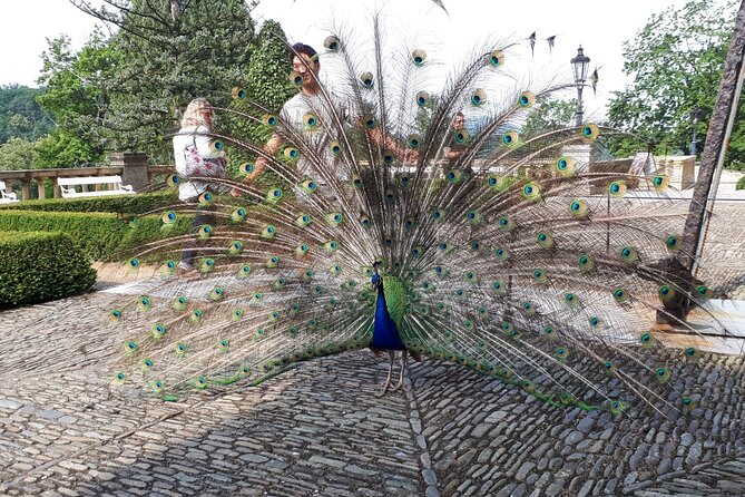 Konopiste Castle Private Tour from Prague - Who Will Love This Tour?