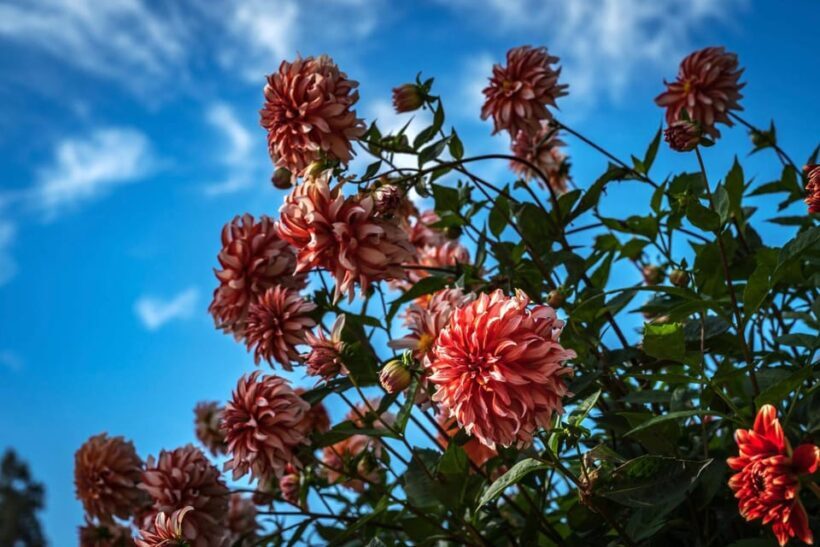 Konstanz: Insta-Perfect Walk with a Local - Key Points