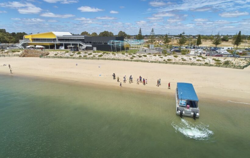 Koombana Bay: Dolphin Eco Cruise - Key Points
