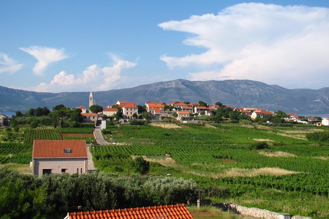 Korcula Bike & Wine Tour - Mountain Bike Tour - Health and Fitness Considerations