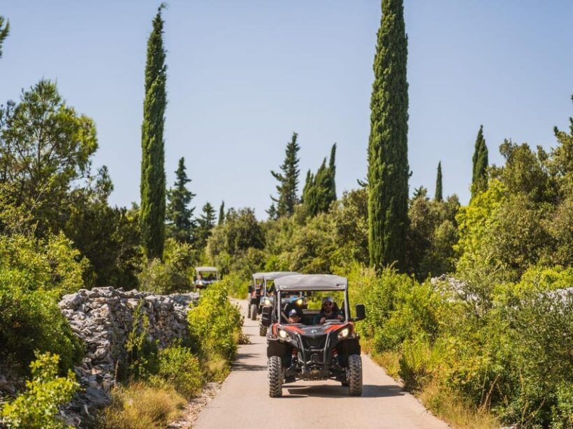 Korcula Buggy Safari With Wine Tasting - An In-Depth Look at the Korcula Buggy Safari Experience