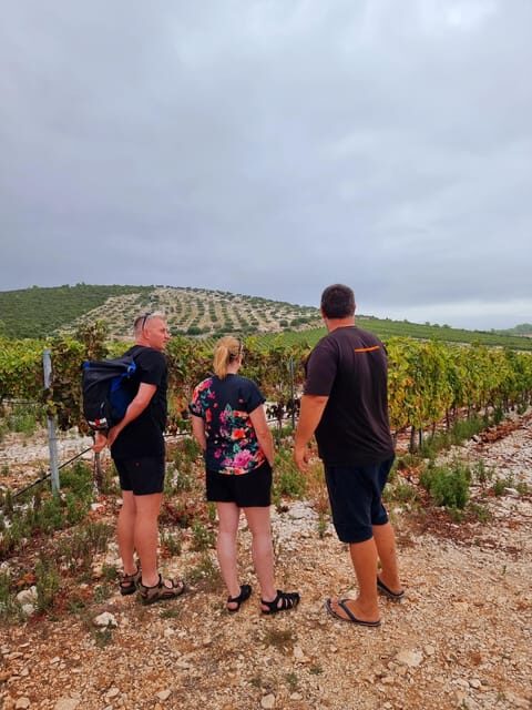 Korcula Buggy Tour Including our Local Food and Wine Tasting - What’s Not Included?