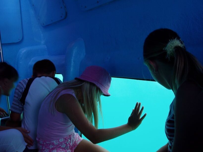 Korcula: Semi-Submarine Tour - The Value: Is It Worth It?