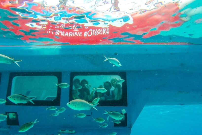 Korcula: Semi-Submarine Tour - Who Should Consider This Tour?