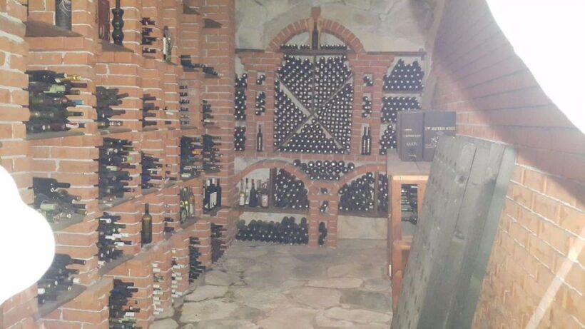 Korcula, Ston, Wine Tasting and Lunch - Tour from Dubrovnik - The Experience in Detail