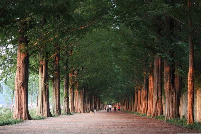 Korea: Trip and Itinerary Planning - Travel Effortlessly! - Additional Support and Extras