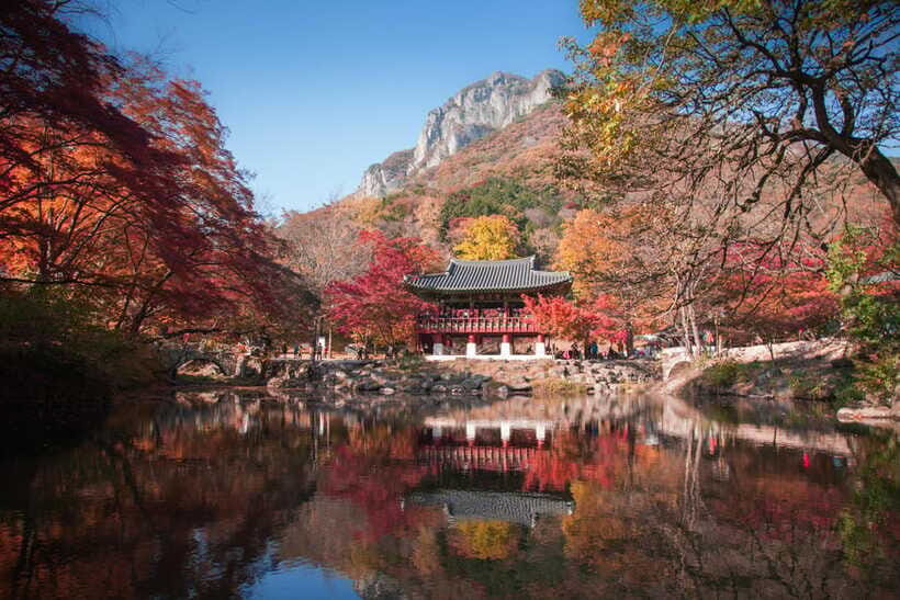 Korea: Trip and Itinerary Planning - Travel Effortlessly! - Pricing and Value