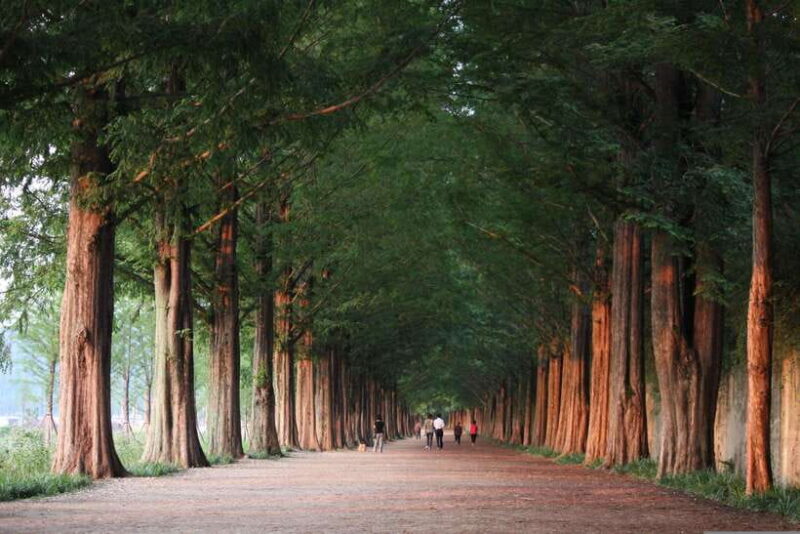 Korea: Trip and Itinerary Planning - Travel Effortlessly! - Key Points