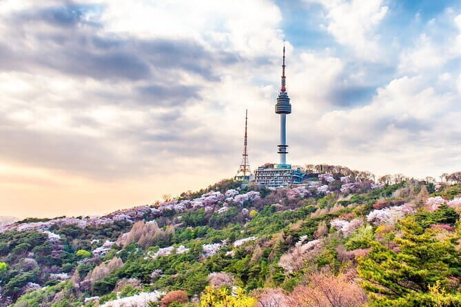 Korean barbecue & Seoul's night life experience - Who Is This Tour Best For?