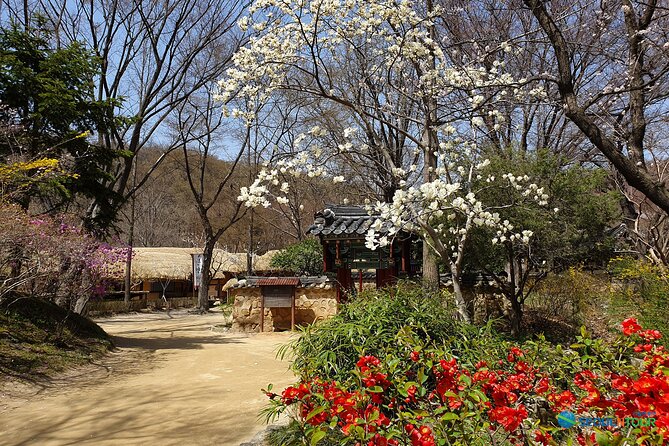 Korean Folk Village Half-day Guided Tour from Seoul - Who Should Consider This Tour?