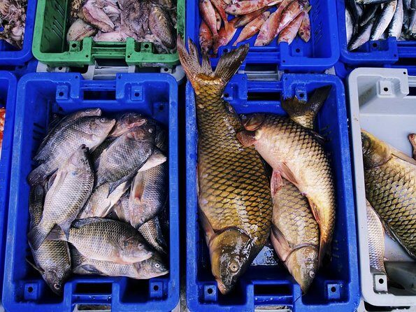 Korean Market Adventure with Chef Yie - Noryangjin Fish market - An Authentic Seafood Market Walk