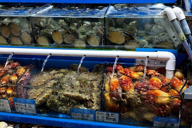Korean Market Adventure with Chef Yie - Noryangjin Fish market - Who Should Consider This Tour?