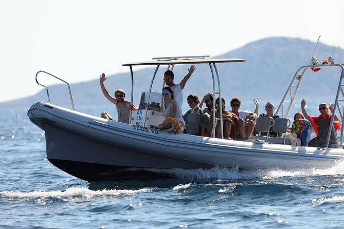 Kornati Experience Small Group (12 Pax) Boat Tour - Pricing and Booking