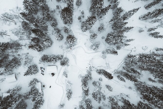 Korouoma Canyon Frozen Waterfalls - What the Reviews Say