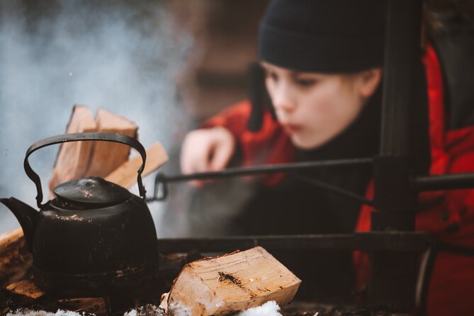 Korouoma Canyon Frozen Waterfalls - Who Should Book This Tour?