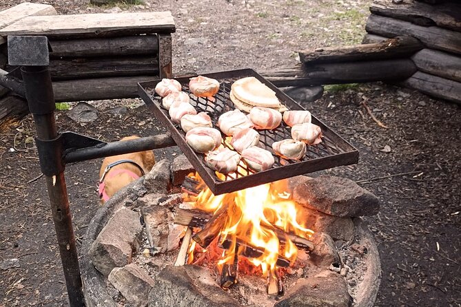 Korouoma Canyon: Frozen Waterfalls Hike & BBQ Experience - The Sum Up