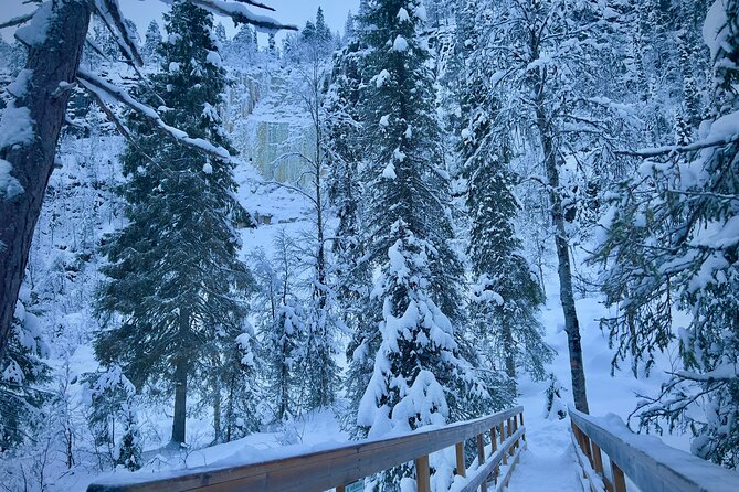 Korouoma Frozen Waterfalls Hiking Tour - Accessibility and Cancellation