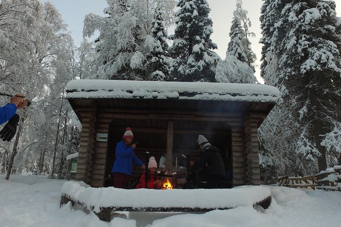 Korouoma National Park and Frozen Waterfalls Hiking Tour - Scenic Frozen Waterfalls