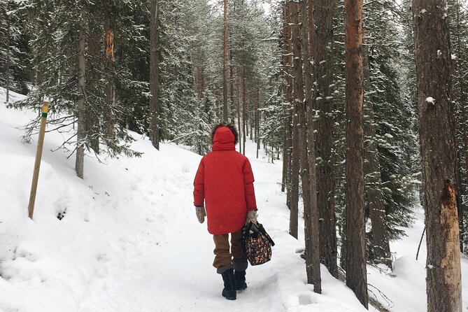 Korouoma National Park and Frozen Waterfalls Hiking Tour - What to Expect From the Tour