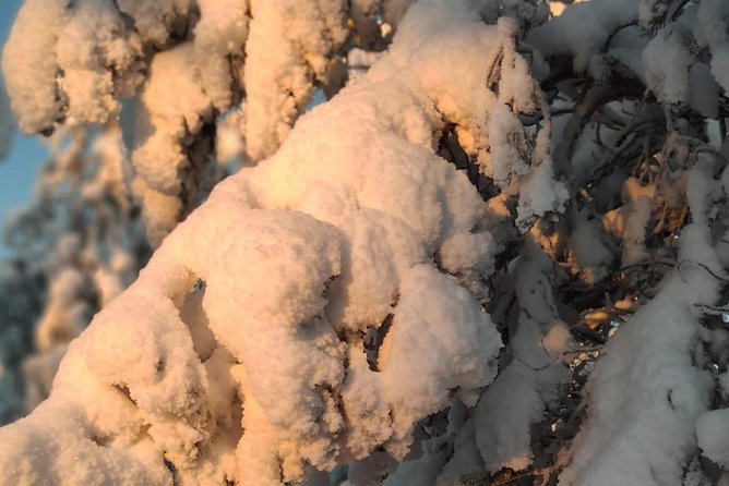 Korouoma National Park & Frozen Waterfalls Adventure - Pricing and Booking Information