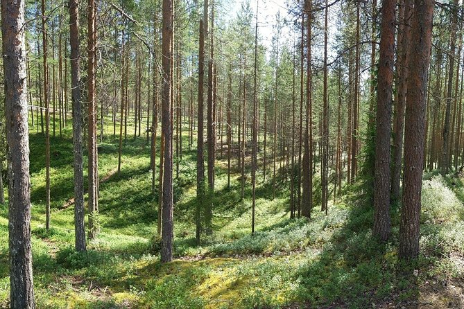 Korouoma National Park & Frozen Waterfalls Adventure - Traveler Recommendations and Accolades