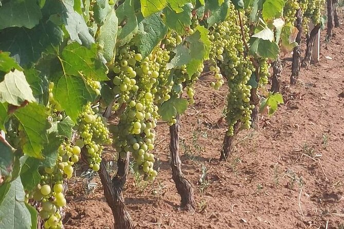 Korula for Wine Lovers - Poip and Grk Wines Private Tour - FAQ