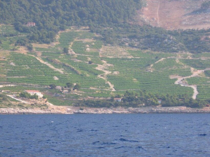 Korula & Ston Full-Day Private Tour from Dubrovnik - What to Expect on the Tour