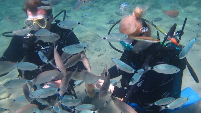 Kos: Beginner Scuba Diving at Pserimos Island - An In-Depth Look at the Tour Experience