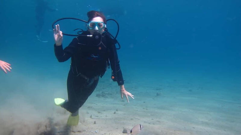 Kos: Beginner Scuba Diving at Pserimos Island - The Sum Up: Who Should Consider This Tour?