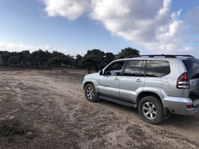Kos: Guided 4x4 Off-Road Tour to Kefalos & Tavern Lunch - Practical Tips for Participants