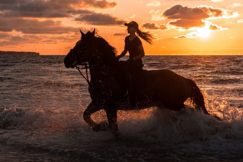 Kos: Horse Riding Experience on the Beach with Instructor - Exploring Kos from a Different Perspective: Horse Riding on the Beach