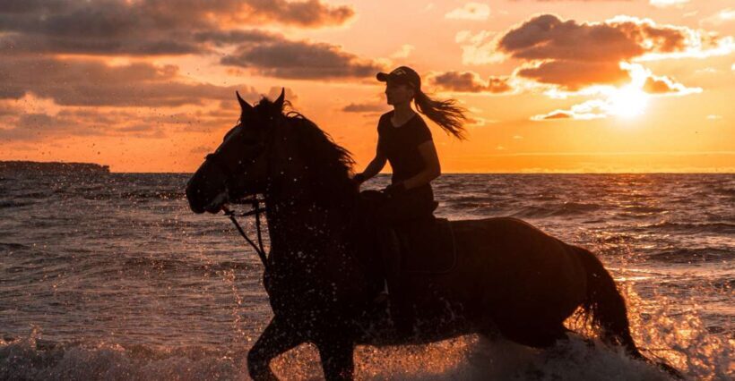 Kos: Horse Riding Experience on the Beach with Instructor - Who Will Love This Tour?